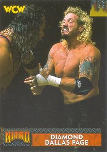 Diamond Dallas Page Wcw Nwo
