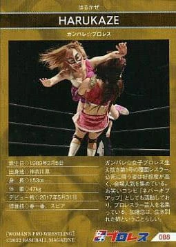 2022 BBM True Heart HARUKAZE (No.88) | Pro Wrestling | Fandom