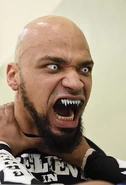 Tyranus/Image gallery | Pro Wrestling | Fandom