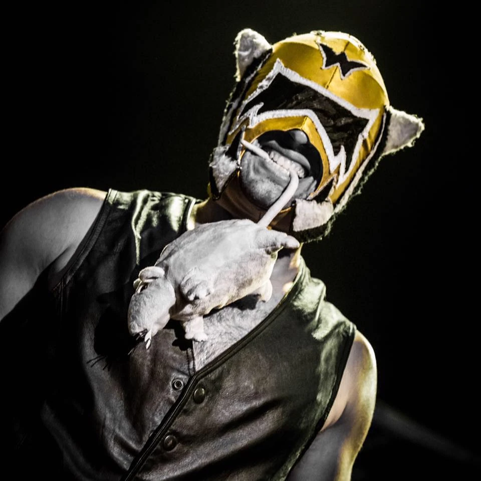 Wildcat | Pro Wrestling | Fandom