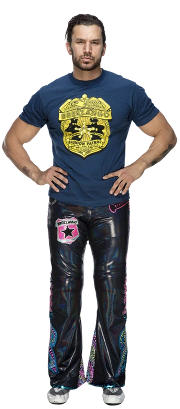 Fandango Wwe Dance Partner