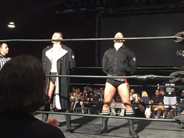 Ringkampf | Pro Wrestling | Fandom