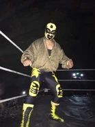 Zovek/Image gallery | Pro Wrestling | Fandom