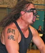 Wraith/Image gallery | Pro Wrestling | Fandom