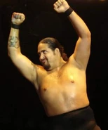 Afa Anoa'i, Jr./Image gallery | Pro Wrestling | Fandom