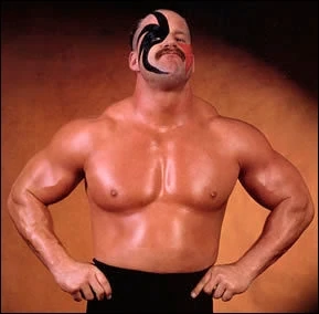 Hawk | Pro-Wrestling | Fandom