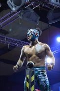 Dragón Bane/Image gallery | Pro Wrestling | Fandom