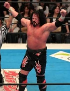 Rick Fuller/Image gallery | Pro Wrestling | Fandom