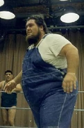 Haystacks Calhoun/Image gallery | Pro Wrestling | Fandom