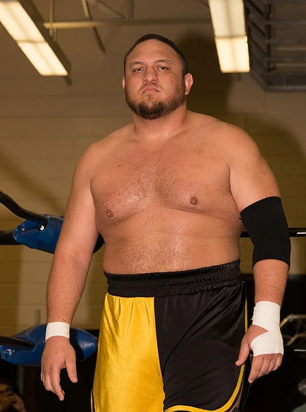 Samoa Joe | Pro Wrestling Wiki | Fandom