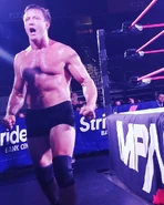 Stephan Bonnar/Image gallery | Pro Wrestling | Fandom