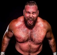 Parrow/Image gallery | Pro Wrestling | Fandom