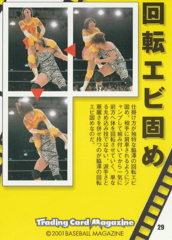 2001 BBM Miho Wakizawa and Kayo Noumi Miho Wakizawa (No.29) | Pro Wrestling | Fandom