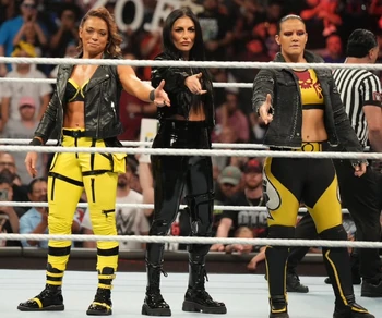 Pure Fusion Collective | Pro Wrestling | Fandom