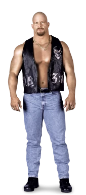 Steve Austin | Pro Wrestling | Fandom