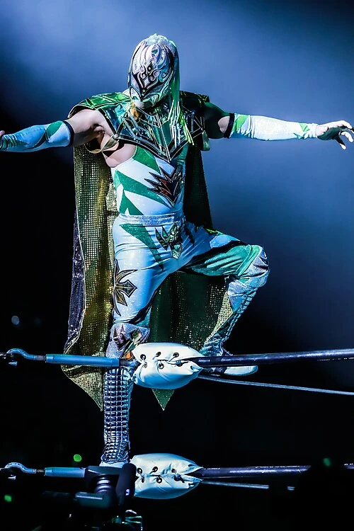 Alejandro | Pro Wrestling Wiki | Fandom