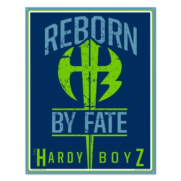 Hardy Boyz 标志 壁纸