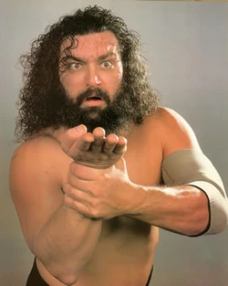 Bruiser Brody | Pro-Wrestling | Fandom