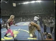 Fall Brawl 1995/Image gallery | Pro Wrestling | Fandom