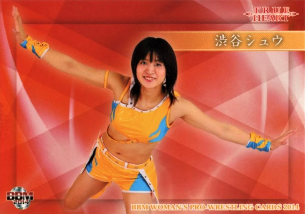 2014 BBM True Heart Japanese Women's Pro Wrestling Shuu Shibutani (No ...