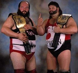 Natural Disasters | Pro Wrestling | Fandom