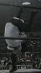 SuperBrawl IX/Image gallery | Pro Wrestling | Fandom