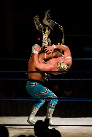 Tilt-a-whirl backbreaker | Pro Wrestling | Fandom