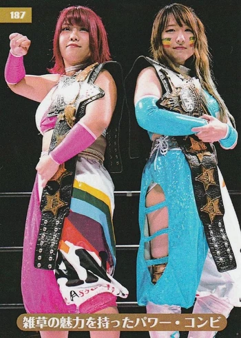 2019 Stardom Collection Card Kyona & Natsuko (No.187) | Pro Wrestling | Fandom