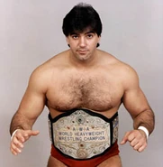AWA World Heavyweight Championship/Champion gallery | Pro Wrestling ...