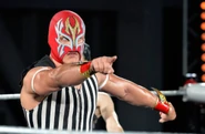 Magnus (luchador)/Image gallery | Pro Wrestling | Fandom