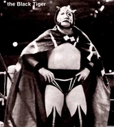 Mark Rocco/Image gallery | Pro Wrestling | Fandom