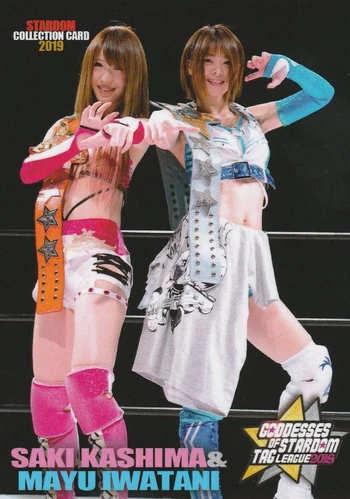 2019 Stardom Collection Card Saki Kashima & Mayu Iwatani-Shiki Shibusawa & Tam Nakano (No.227 ...