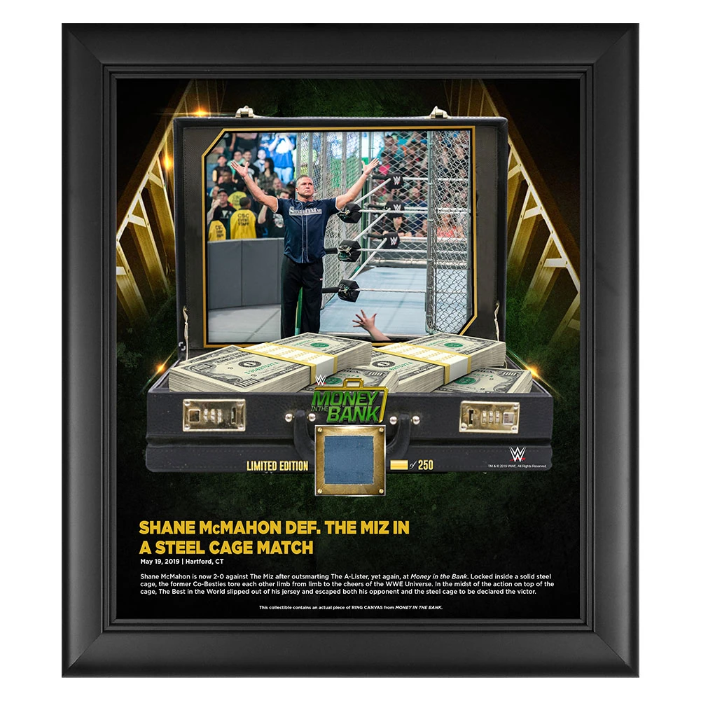 Shane McMahon Money in The Bank 15 x 17 Frame w Ring Canvas | Pro ...