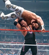 WrestleMania XII/Image gallery | Pro Wrestling | Fandom