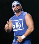 Mike Bucci/Image gallery | Pro Wrestling | Fandom