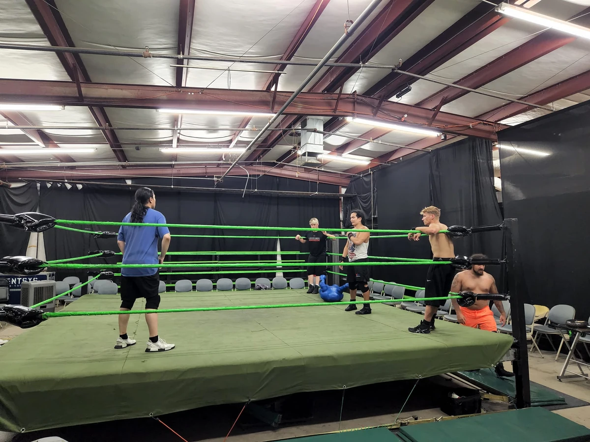 BOTW Studios | Pro Wrestling | Fandom