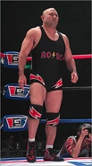 Alexander Otsuka/Image gallery | Pro Wrestling | Fandom