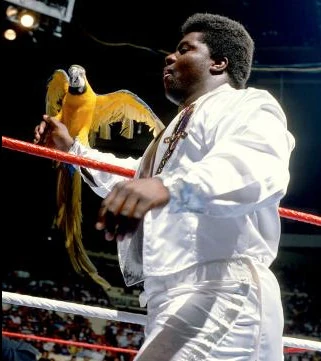 Birds | Pro Wrestling | Fandom
