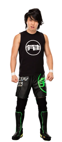 Ho Ho Lun | Pro Wrestling | Fandom
