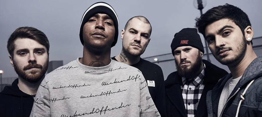 Hacktivist | Pro Wrestling | Fandom