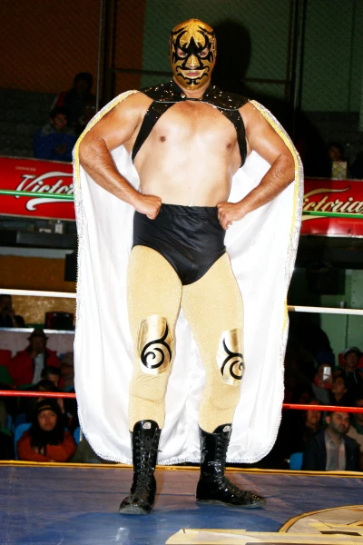 Retro/Image gallery | Pro Wrestling | Fandom