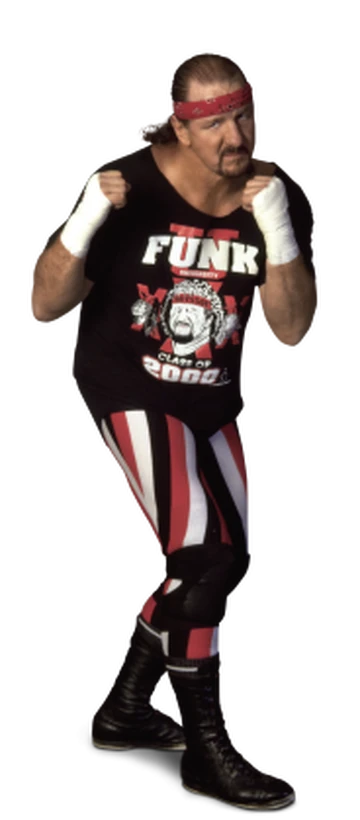 Terry Funk Ecw