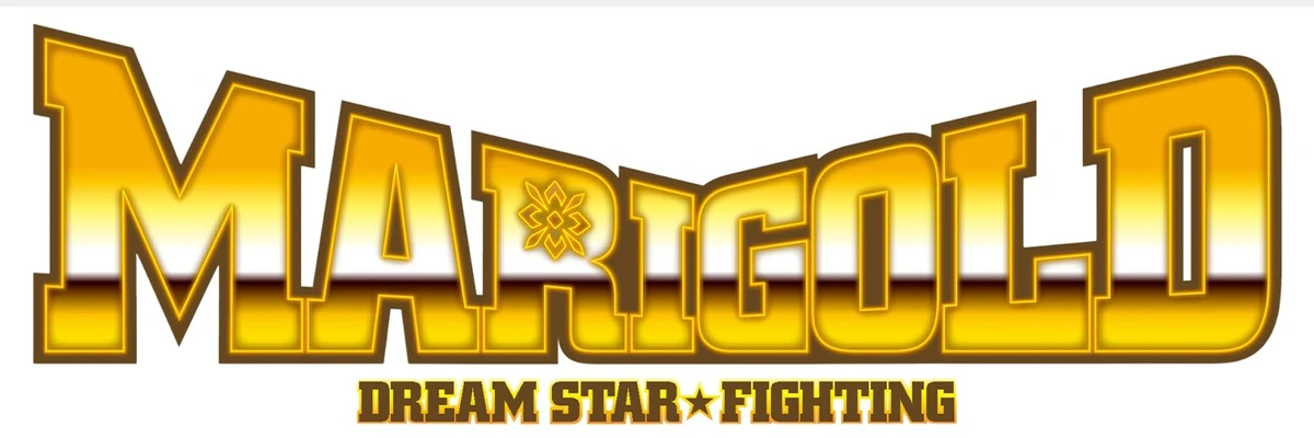 Marigold Summer Gold Shine - Night 3 | Pro Wrestling | Fandom