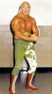 Superstar Billy Graham/Image gallery | Pro Wrestling | Fandom