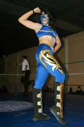 Bella Genesis/Image gallery | Pro Wrestling | Fandom
