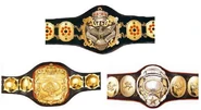 AJPW Triple Crown Championship | Pro Wrestling | Fandom