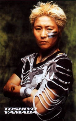 Toshiyo Yamada | Pro Wrestling | Fandom
