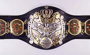 World Junior Heavyweight Championship (AJPW) | Pro Wrestling Wiki | Fandom