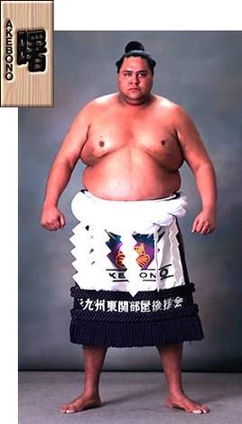 Akebono Tarō | Pro Wrestling | Fandom