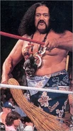 Afa/Image gallery | Pro Wrestling | Fandom